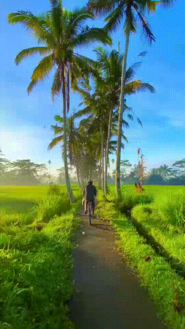 Ubud | Viết bởi officialnpah