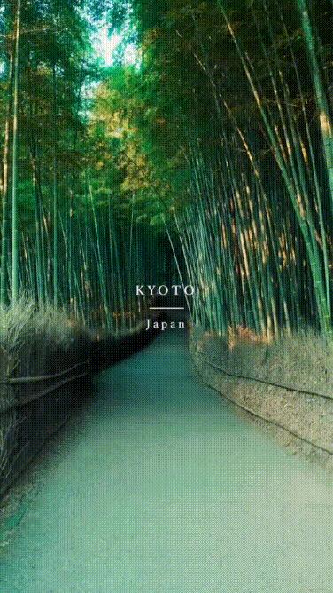 Kyoto, Japan | Viết bởi toshilee