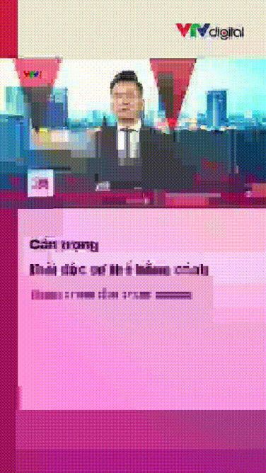 Vtv mãi là vừa tin vịt | Viết bởi hungqn88