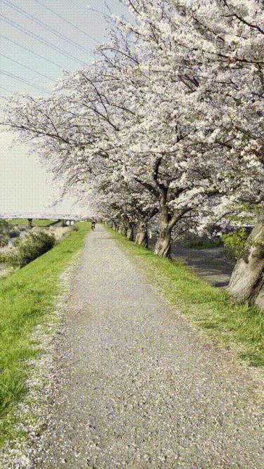 Mời ae cùng ngắm | Viết bởi vailin