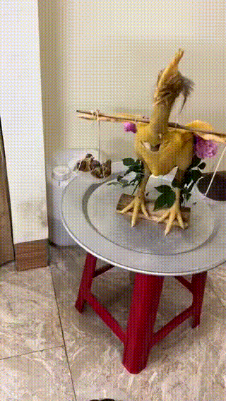 Gà gánh còng lưng | Viết bởi tyhn