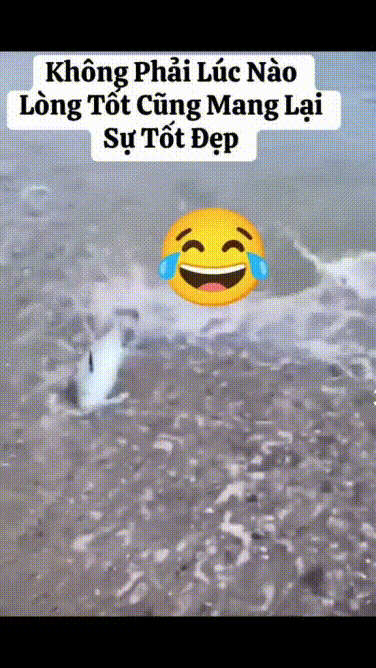 Cái lùm mé... | Viết bởi Fan.MU